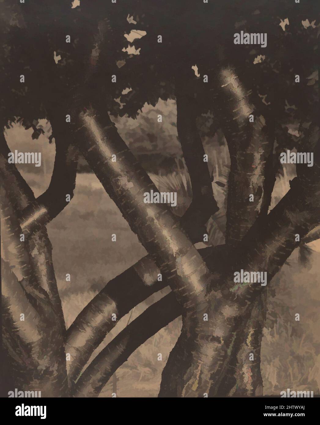 Art inspired by The Dancing Trees, 1922, Palladium print, 24.2 x 19.3 ...