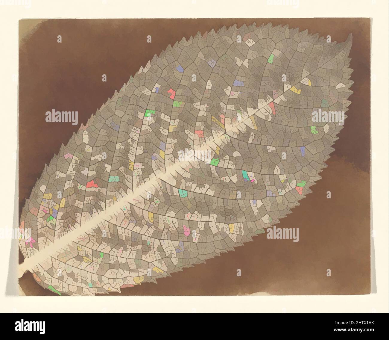 Art inspired by Leaf, ca. 1839, Photogenic drawing negative, Sheet: 3 3 ...