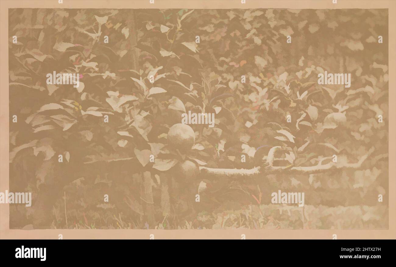 Collodion paper hi-res stock photography and images - Alamy