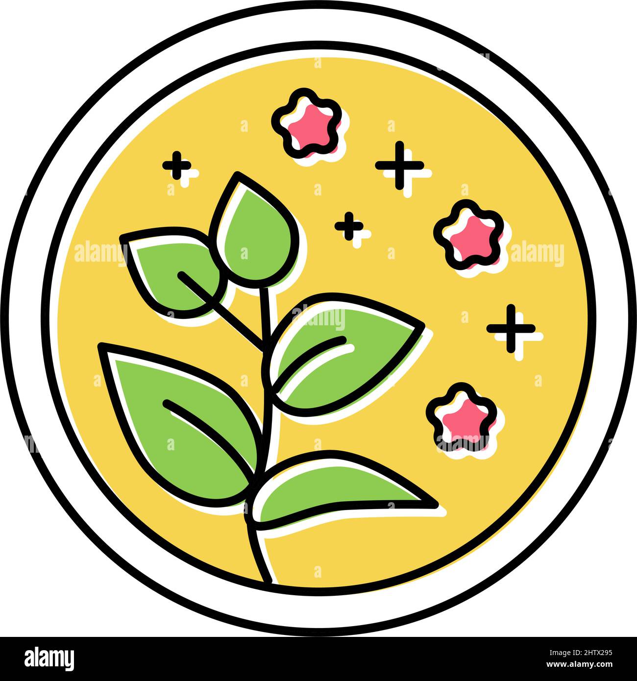 Mineral fair Stock Vector Images - Alamy