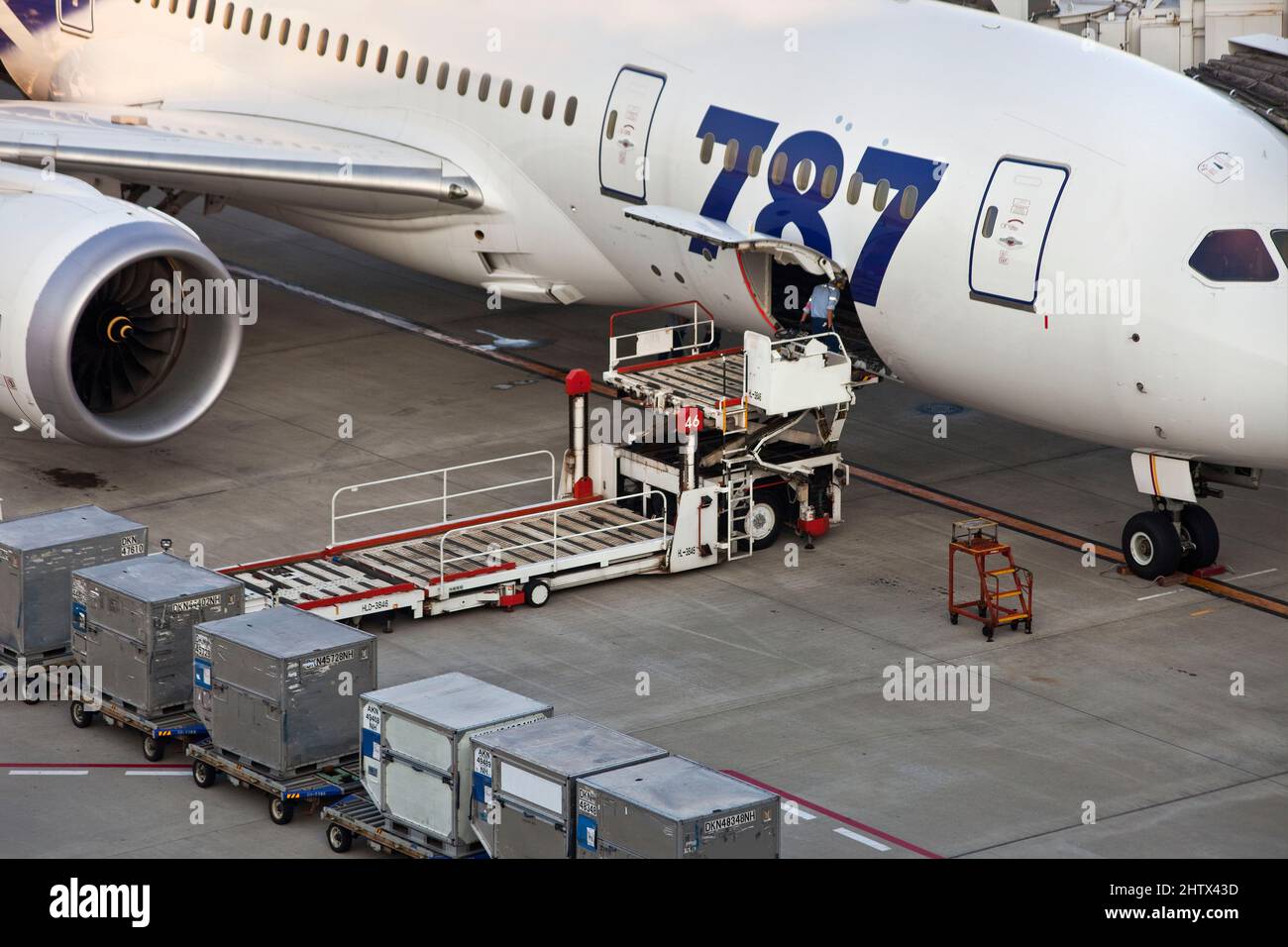 Boeing 787 Dreamliner plane loading at Haneda Airport, Tokyo, Japan ...