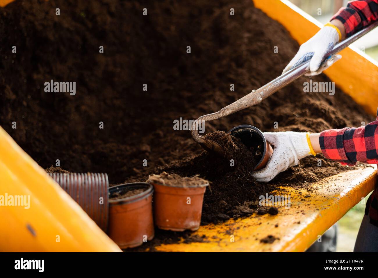 Farmer putting a black soil in pots Stock Photo - Alamy