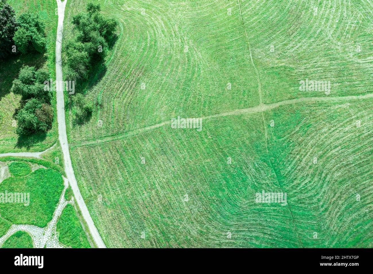 aerial top view of summer park landscape with green lawn, trees and ...