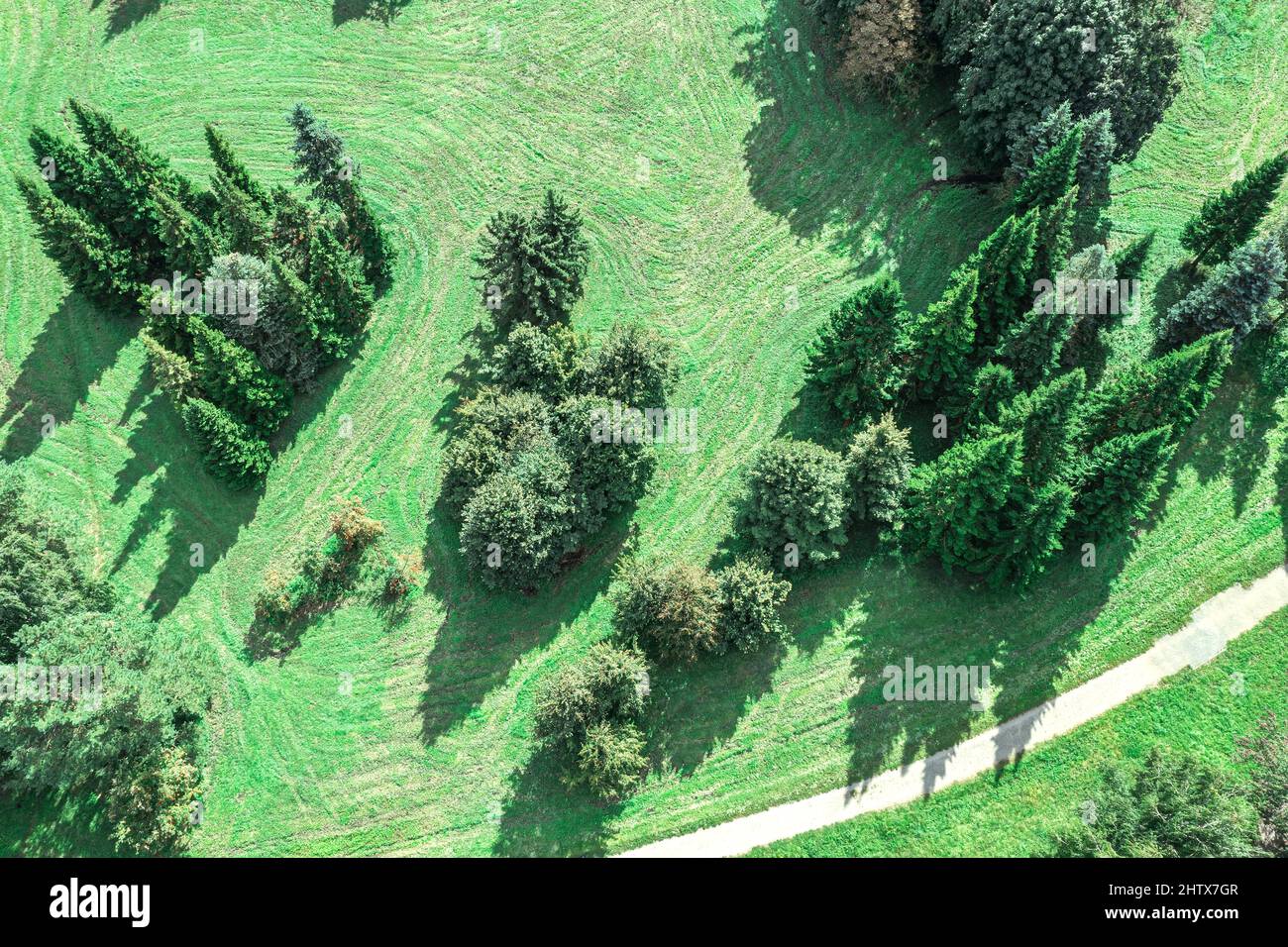 aerial top view of green trees and walking path in summer city park ...
