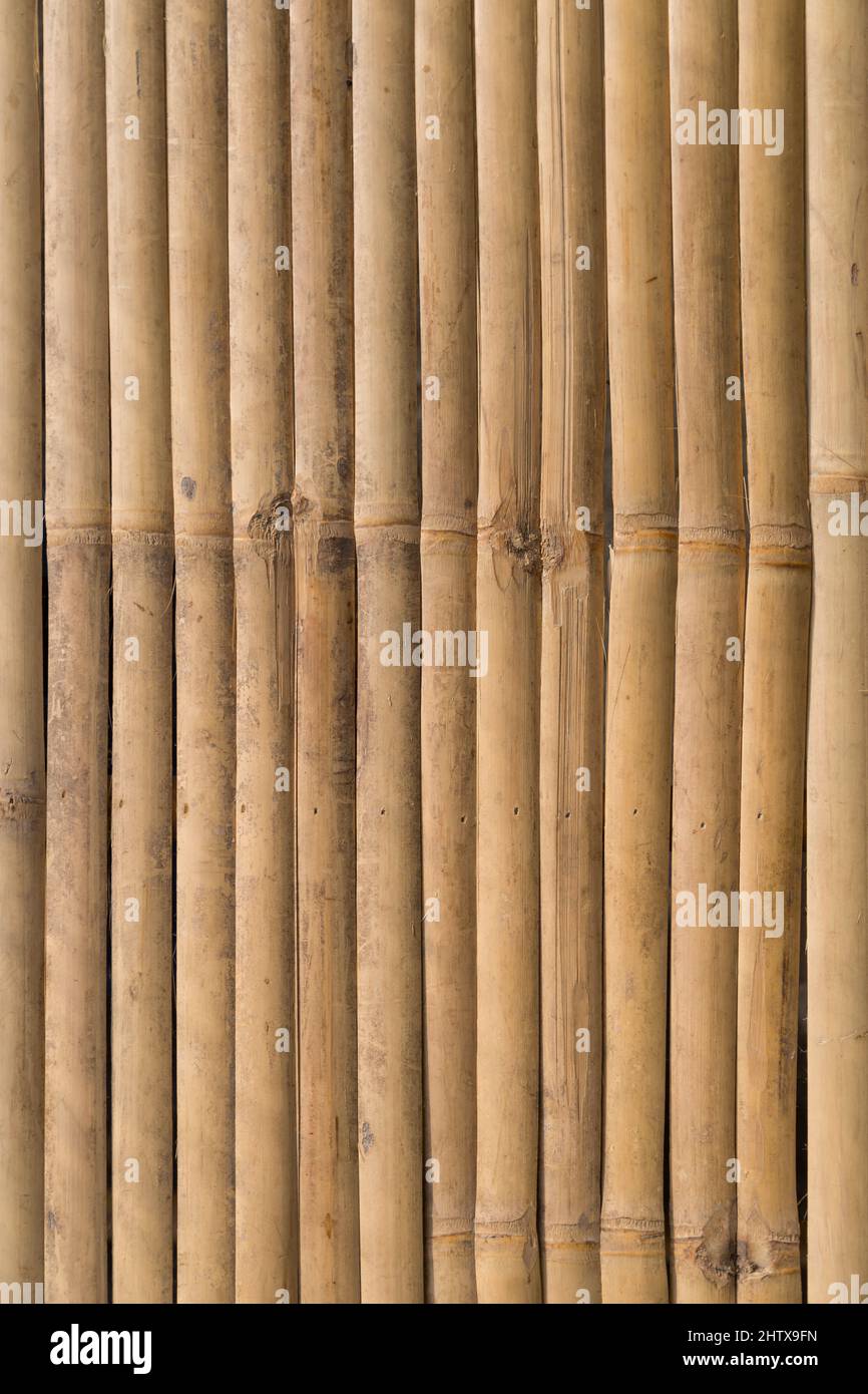 Bamboo panel texture background Stock Photo - Alamy
