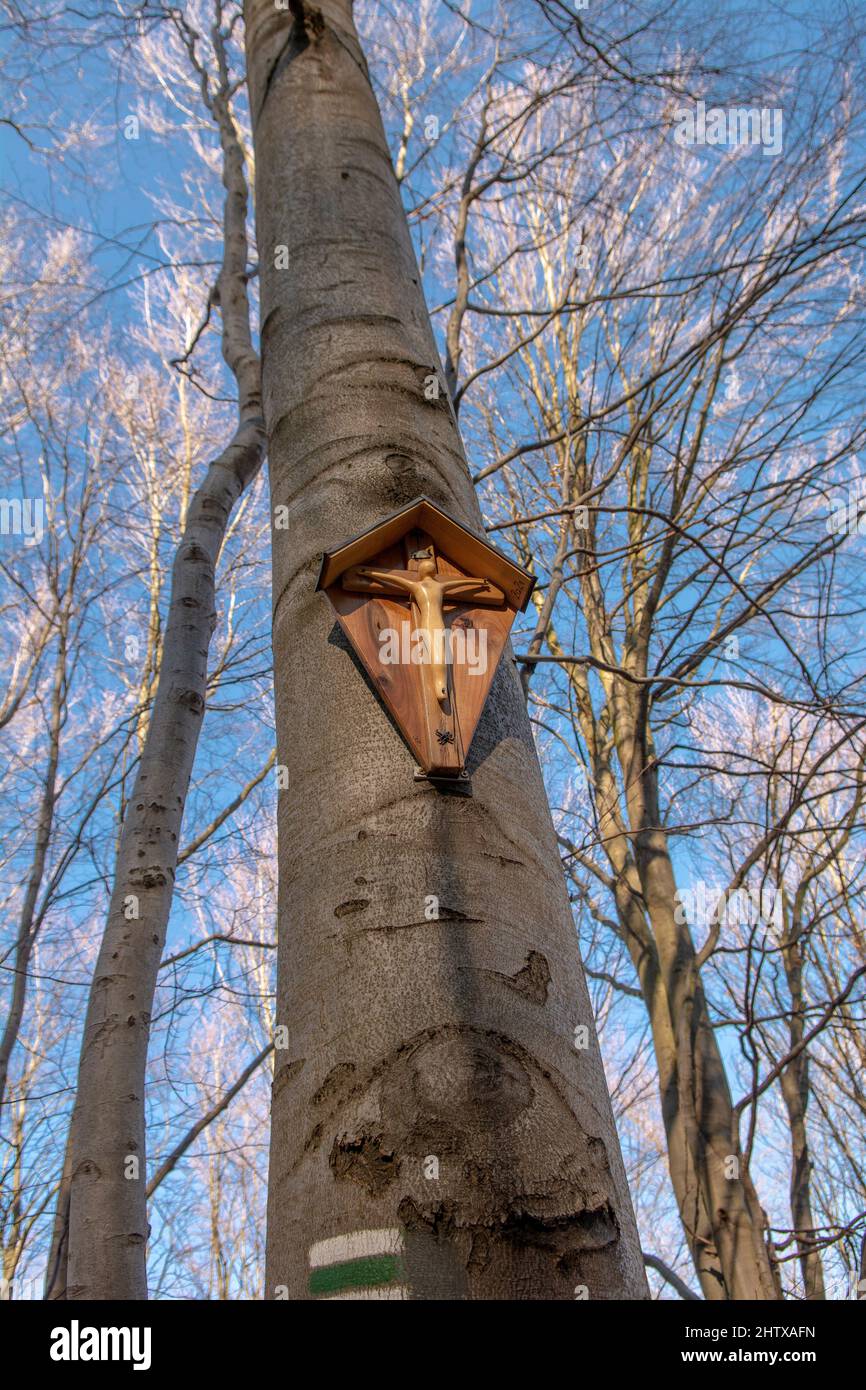 Small wooden crucified jesus on the beech tree in the forest. Wooden ...
