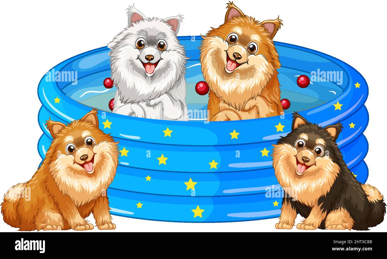 Four dogs playing in the pool illustration Stock Vector Image & Art - Alamy