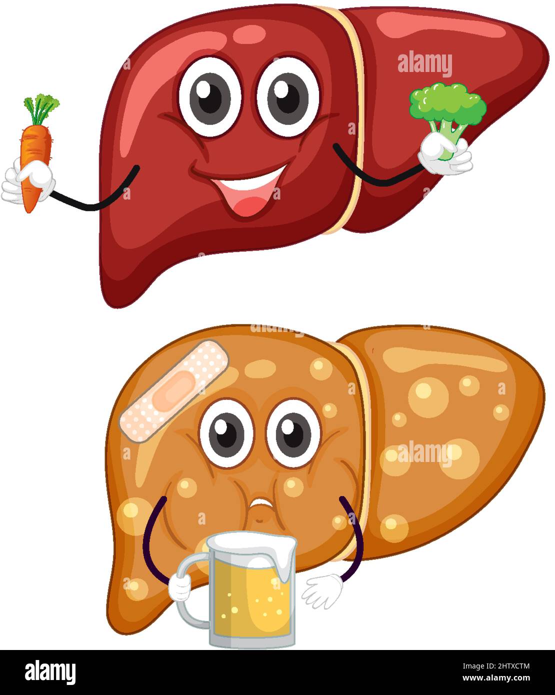 Healthy liver and fatty liver cartoon character illustration Stock ...