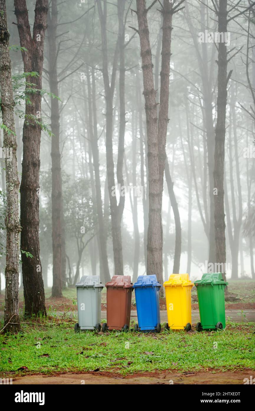 five colors recycle bins in pine forest Stock Photo - Alamy