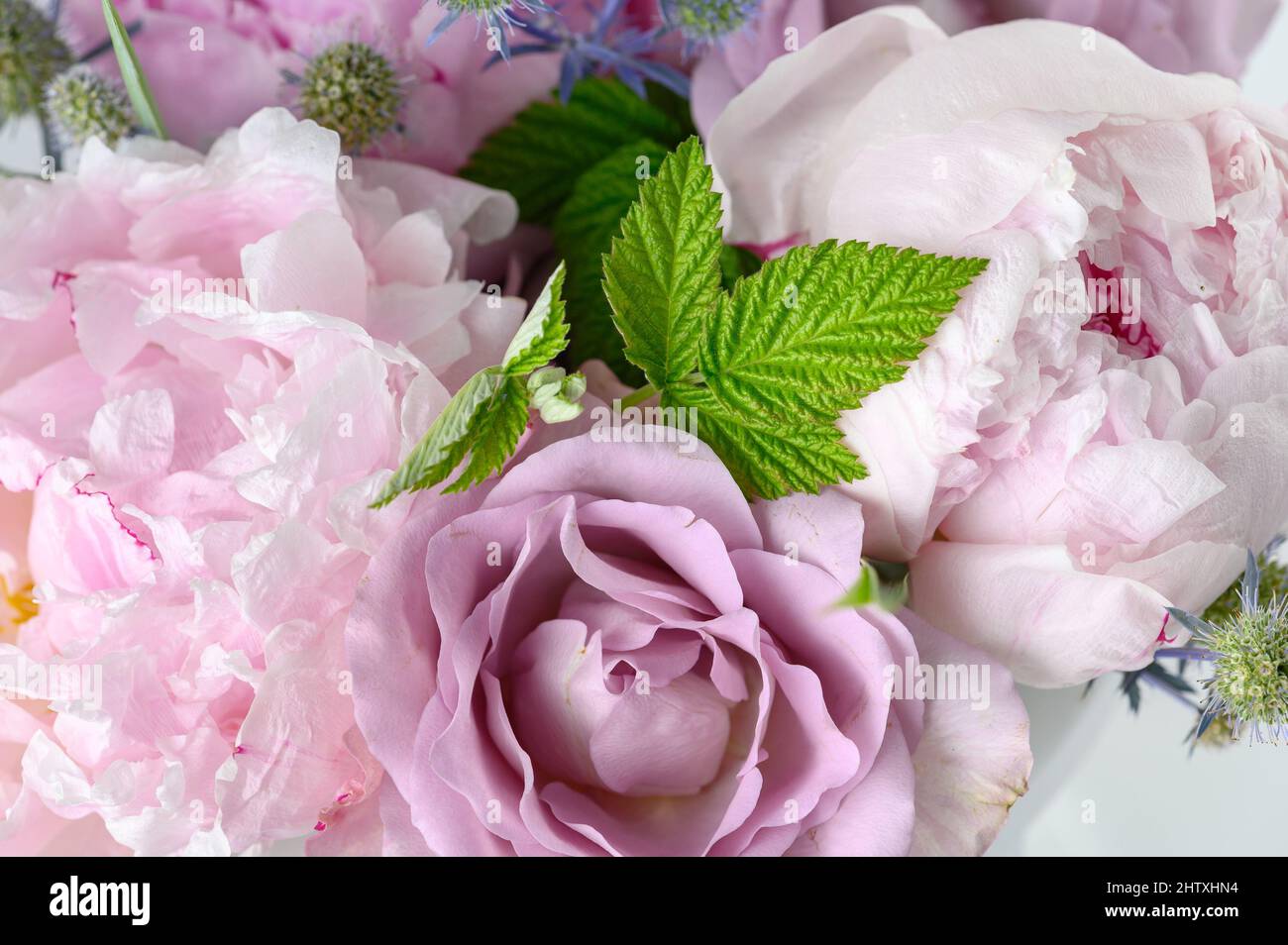 Abstract flower bouquet background under water drops Stock Photo - Alamy