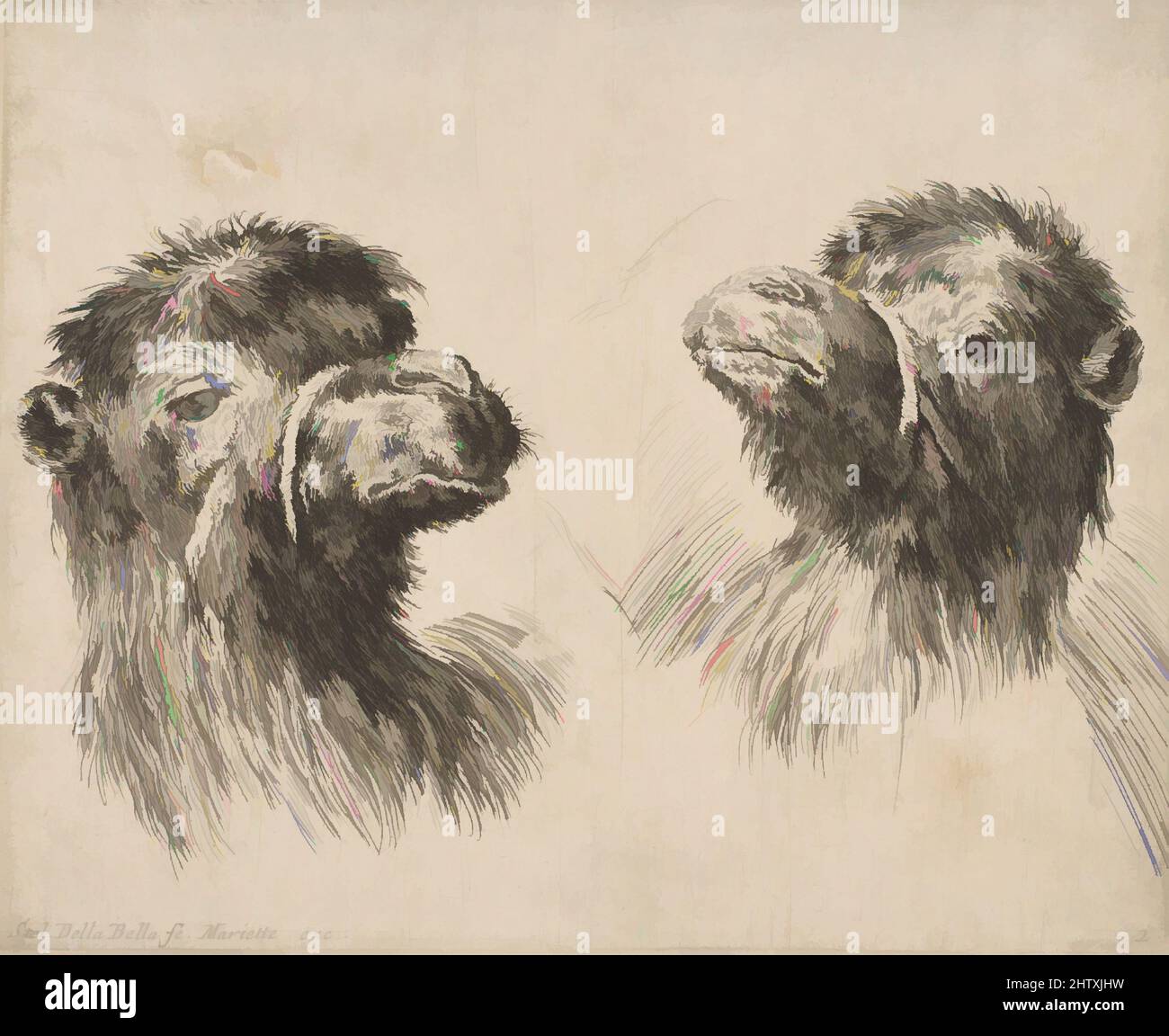 Art inspired by Two Camel Heads, ca. 1641, Etching, state ii or iii ...
