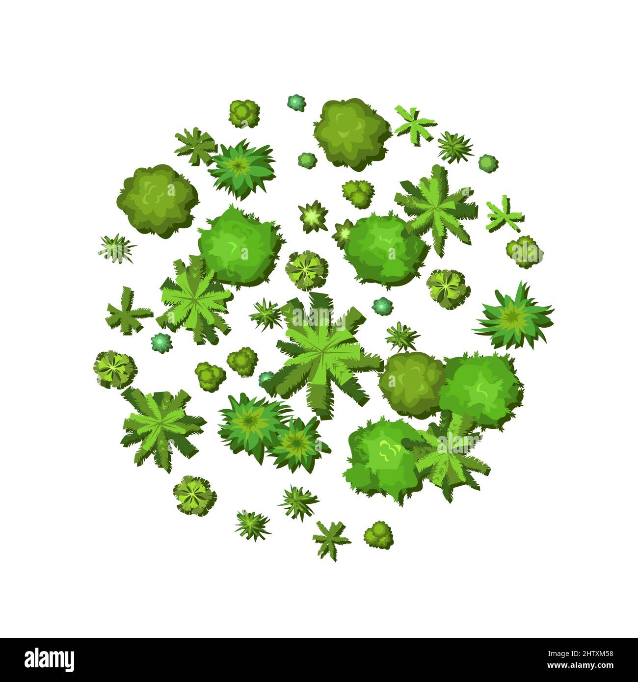 Palm trees park in Cut Out Stock Images & Pictures - Alamy