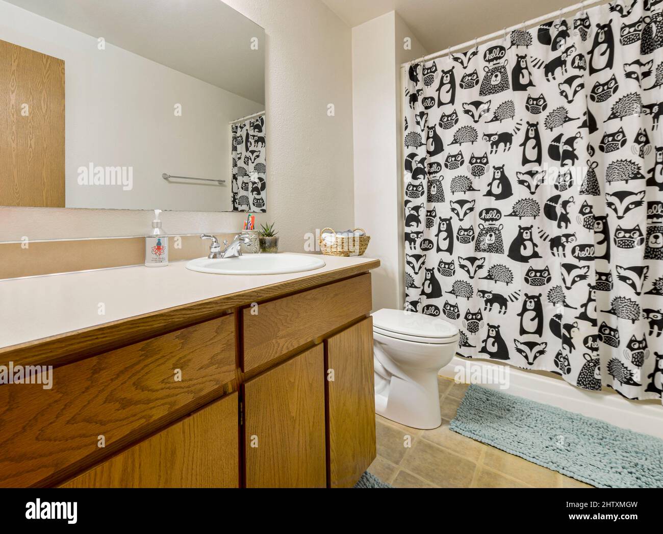 Modern residential bathroom interior Stock Photo - Alamy