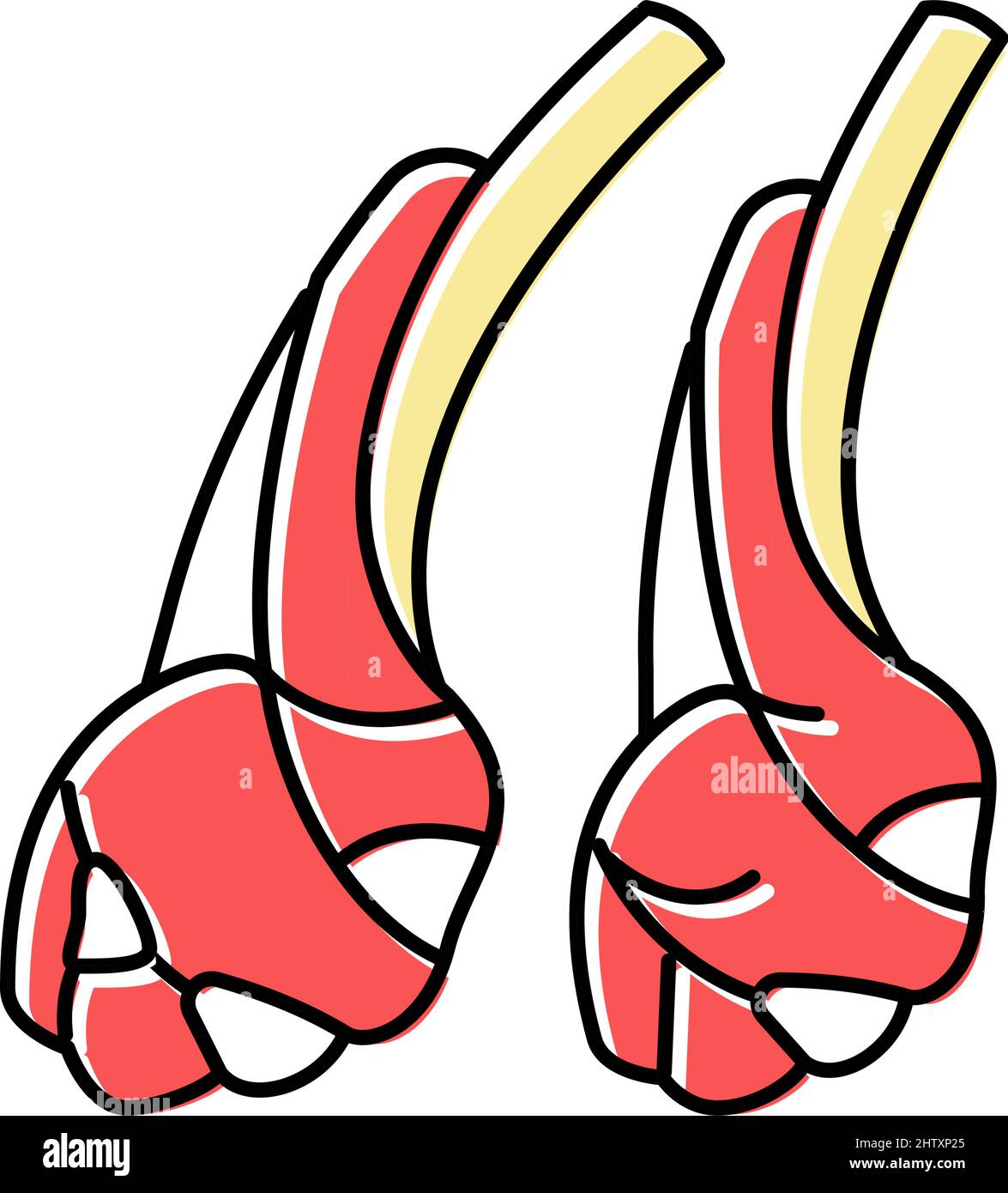 mutton meat color icon vector illustration Stock Vector Image & Art - Alamy