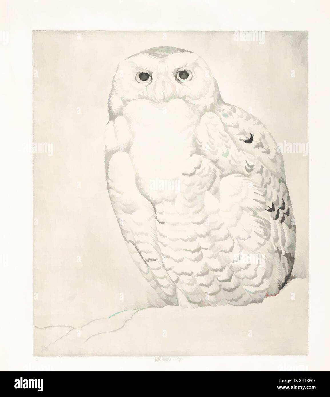 How To Draw A Realistic Snowy Owl