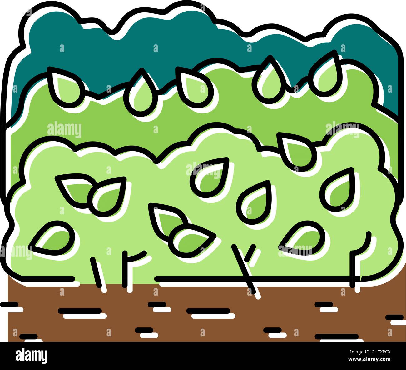 cultivation tea leaves color icon vector illustration Stock Vector ...