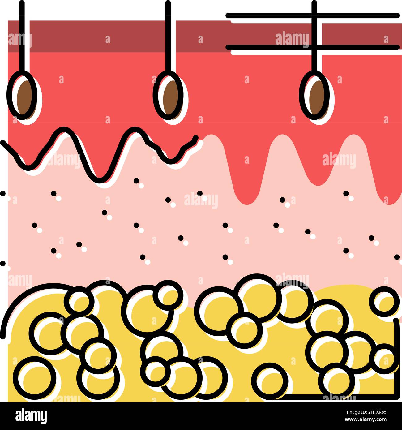 skin human organ color icon vector illustration Stock Vector Image ...