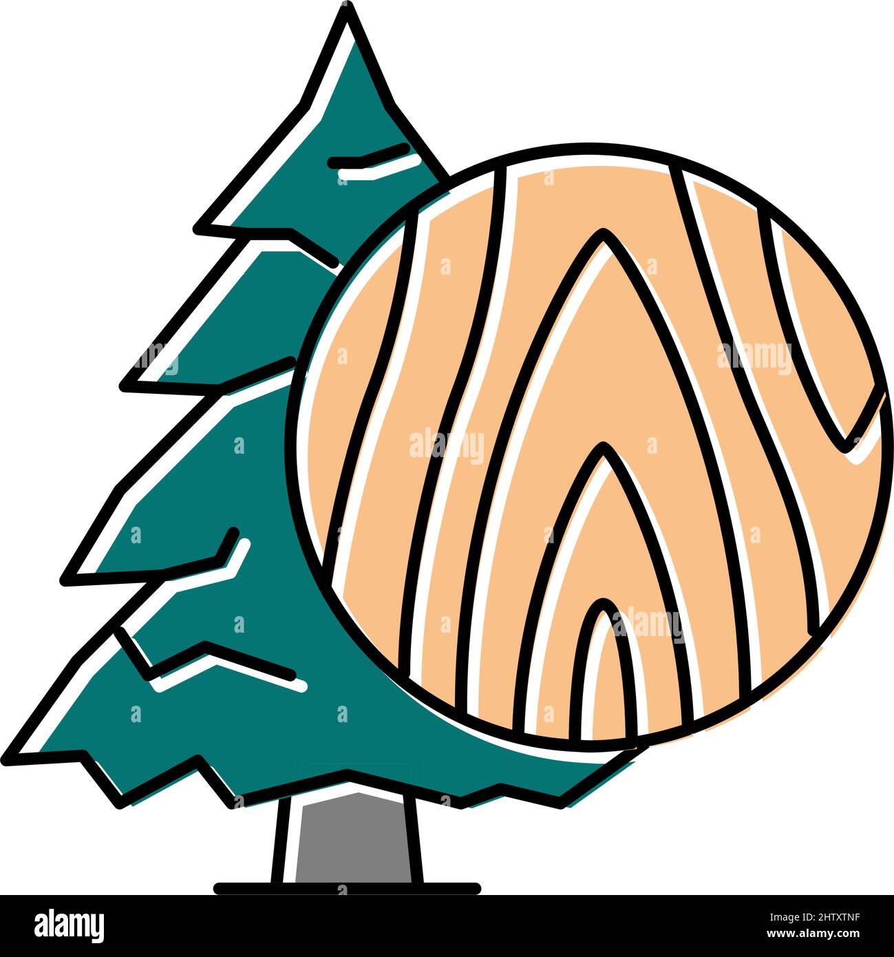 Fir growing beech hi-res stock photography and images - Alamy