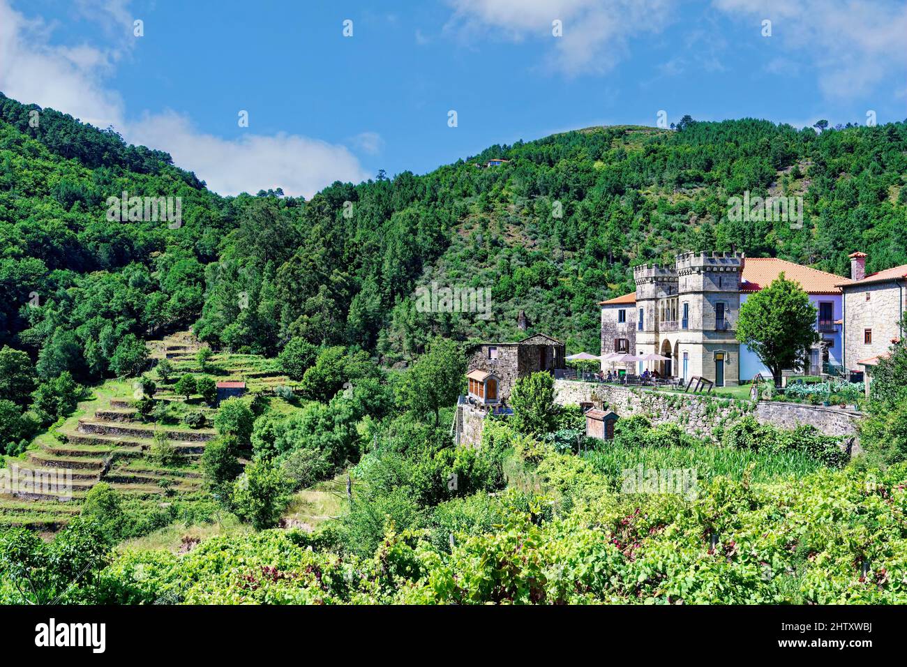 Landscape, Nature, Natural, Scenic, Scenery, Valley, Tibet style ...