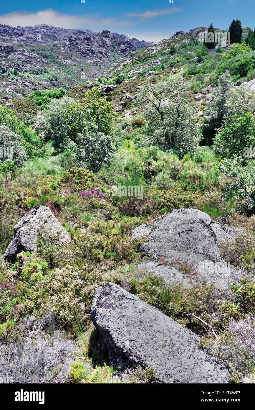 Landscape around Castro Laboreiro village, Peneda Geres National Park ...