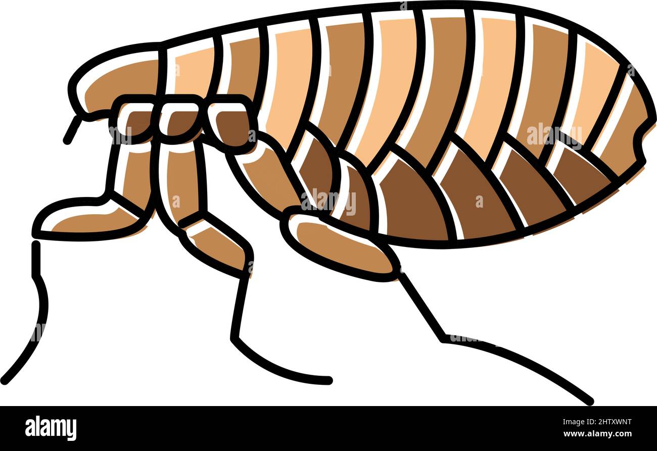 flea insect color icon vector illustration Stock Vector Image & Art - Alamy