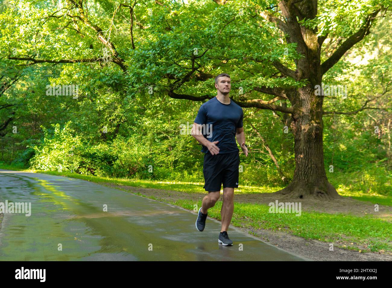 A man athlete runs in the park outdoors, around the forest, oak trees ...