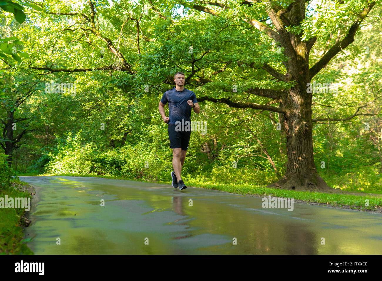 A man athlete runs in the park outdoors, around the forest, oak trees ...