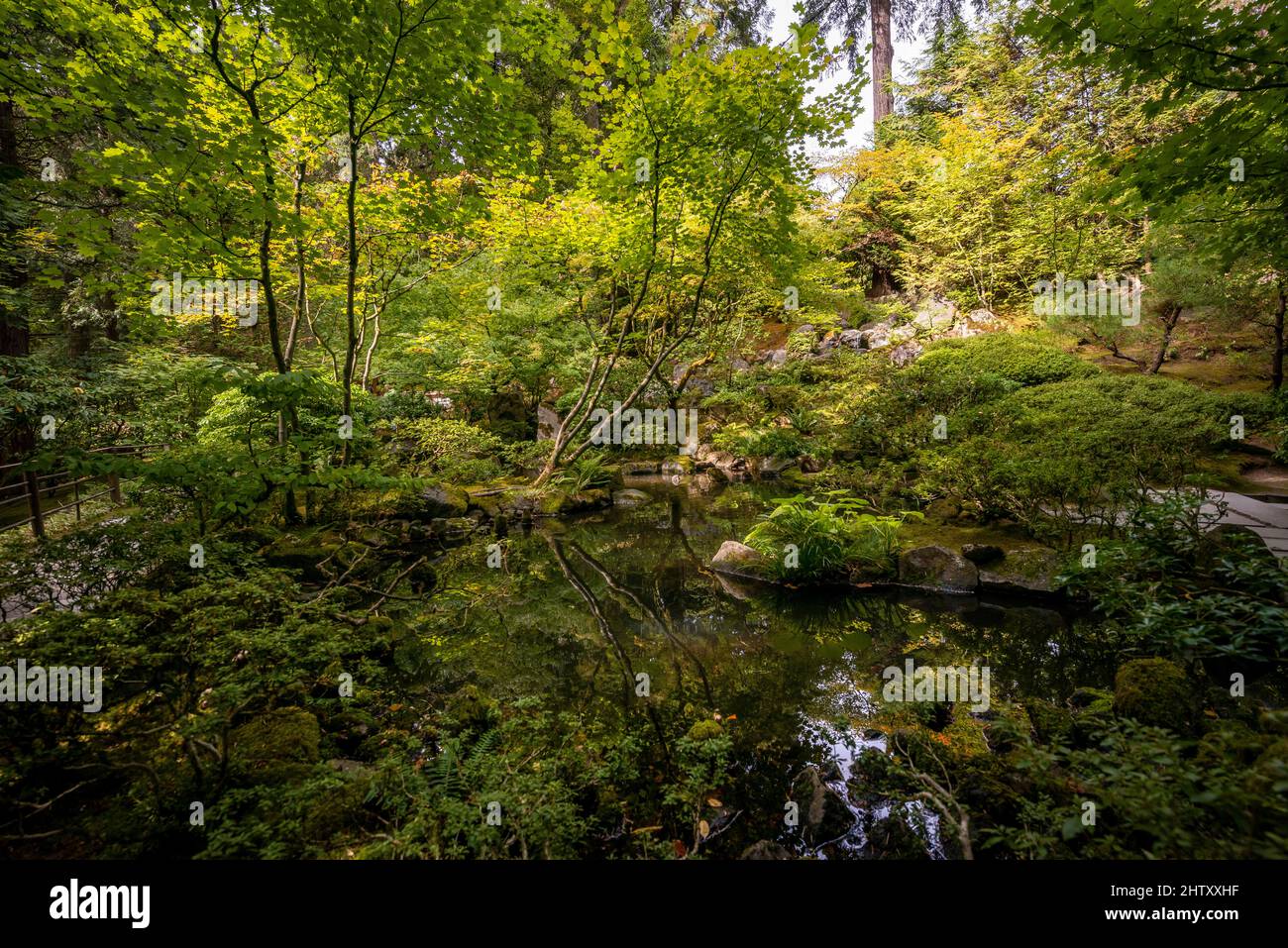 Laid out pond in densely overgrown garden, Japanese Garden, Portland ...