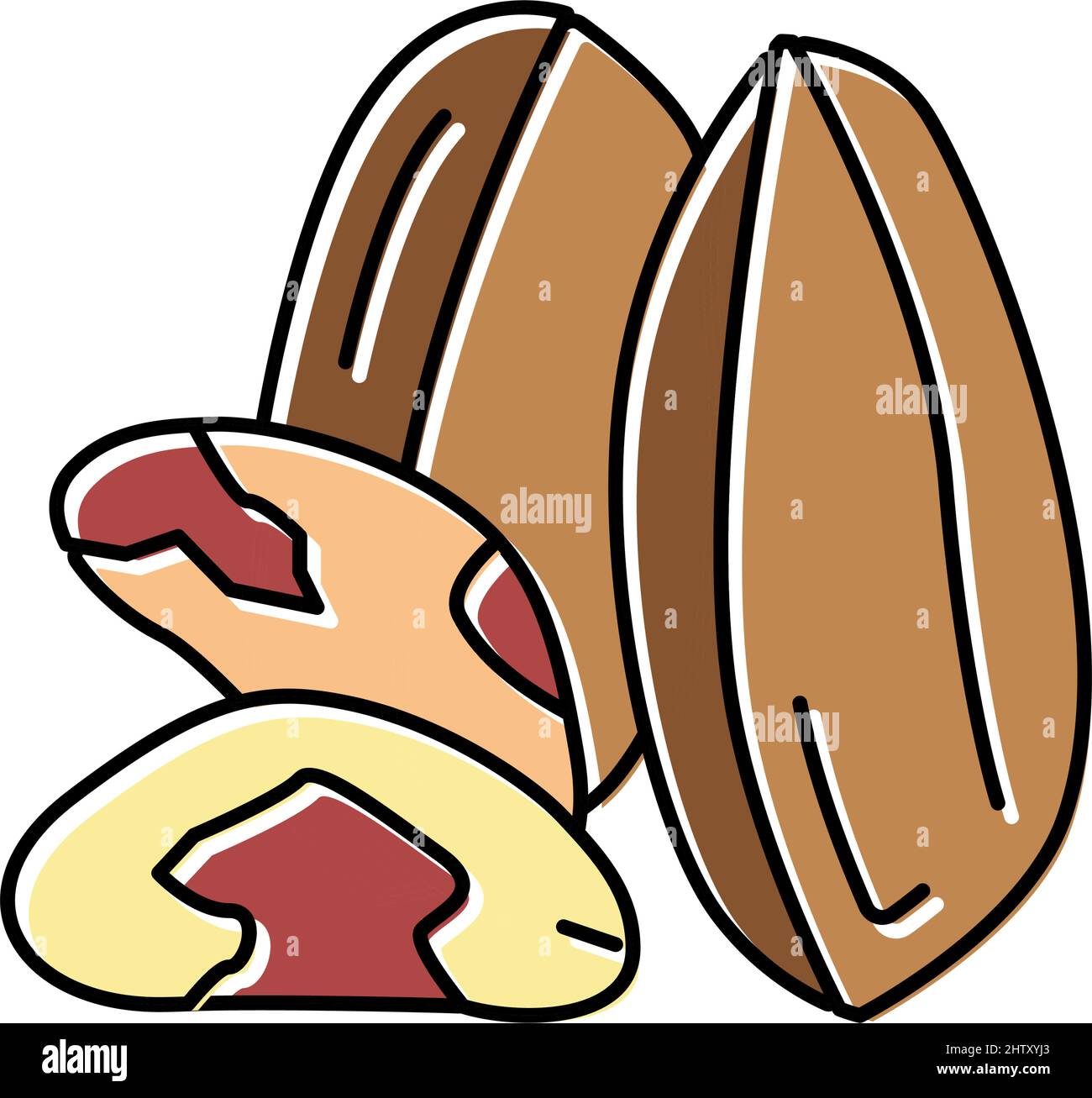 brazil nut color icon vector illustration Stock Vector Image & Art - Alamy