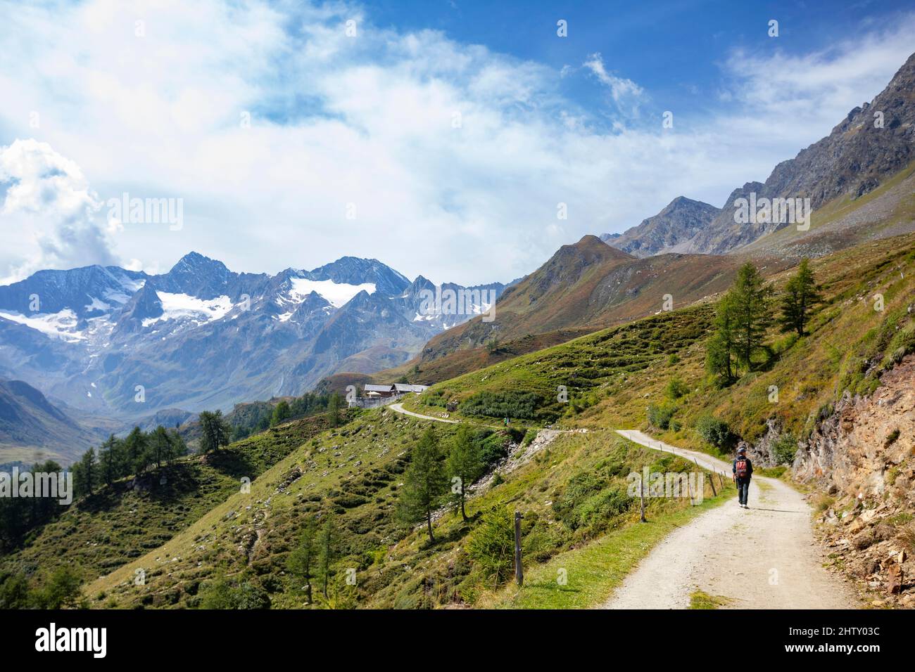 Hikers on the way from the Timmelsjochstrasse to the Oberglanegg Alm ...