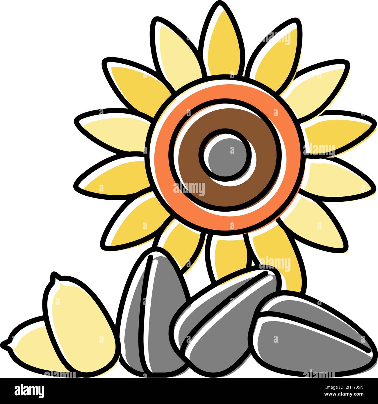 sunflower nut color icon vector illustration Stock Vector Image & Art ...