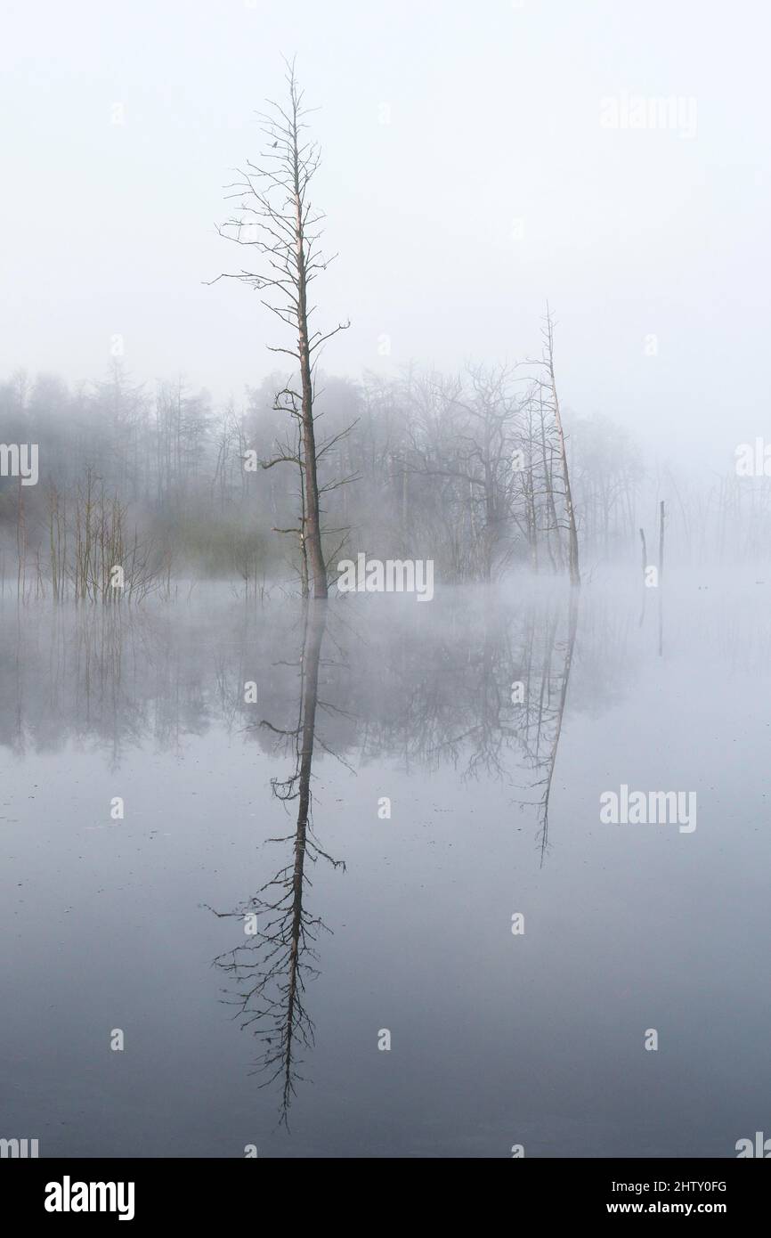 Mountain subsidence area hi-res stock photography and images - Alamy