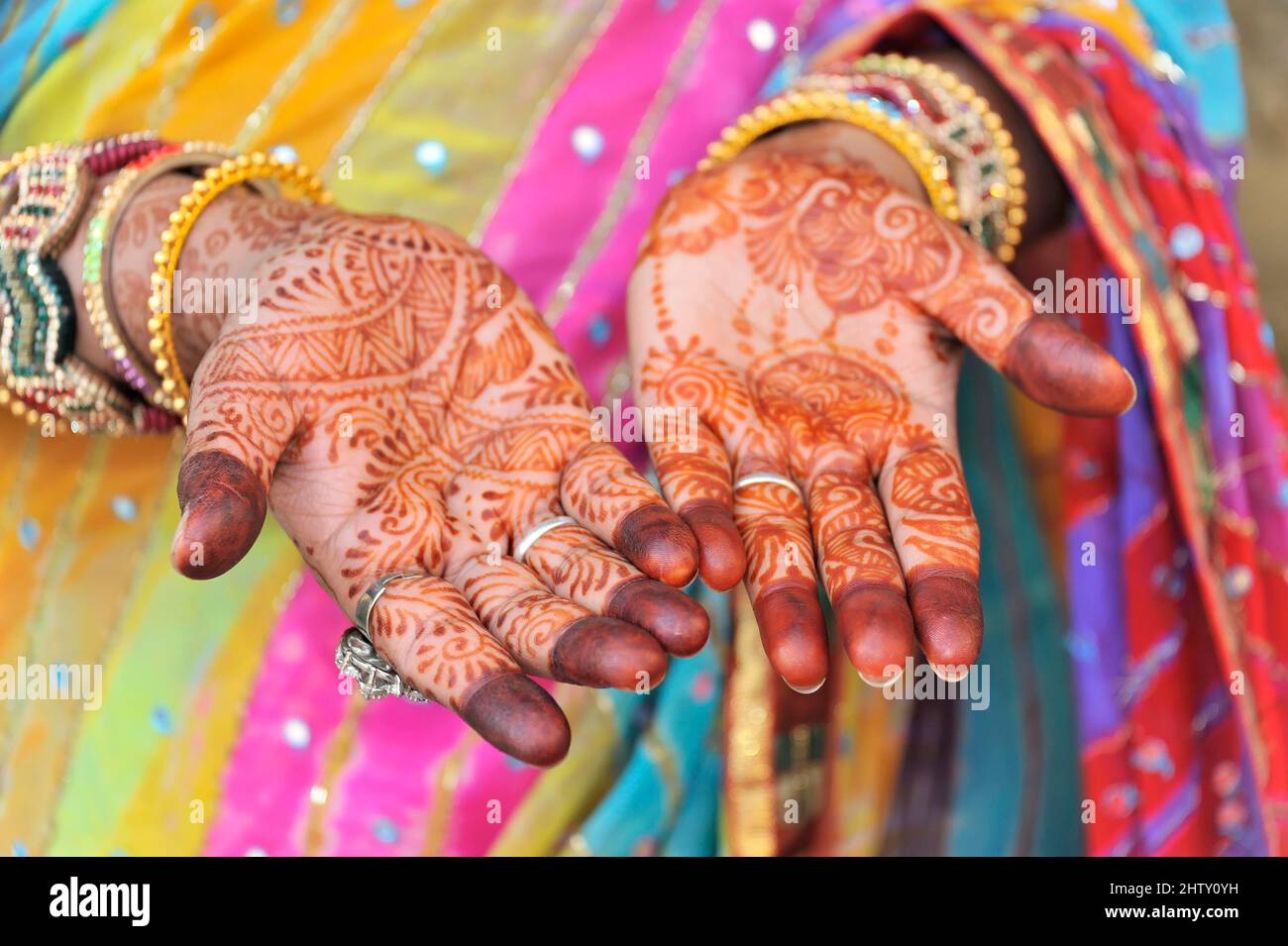 Festive henna painting of the hands of an Indian woman, Mehndi, in ...