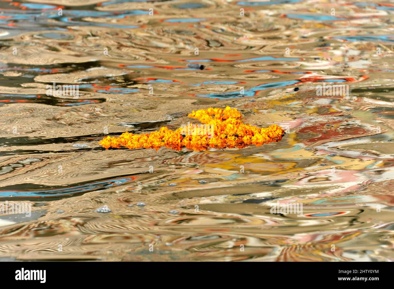 Flower decoration in the Ganges, Varanasi, Benares, Uttar Pradesh ...