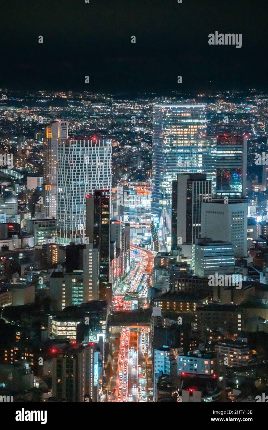 Vertical night view of the beautiful illuminated city of Tokyo, Japan ...