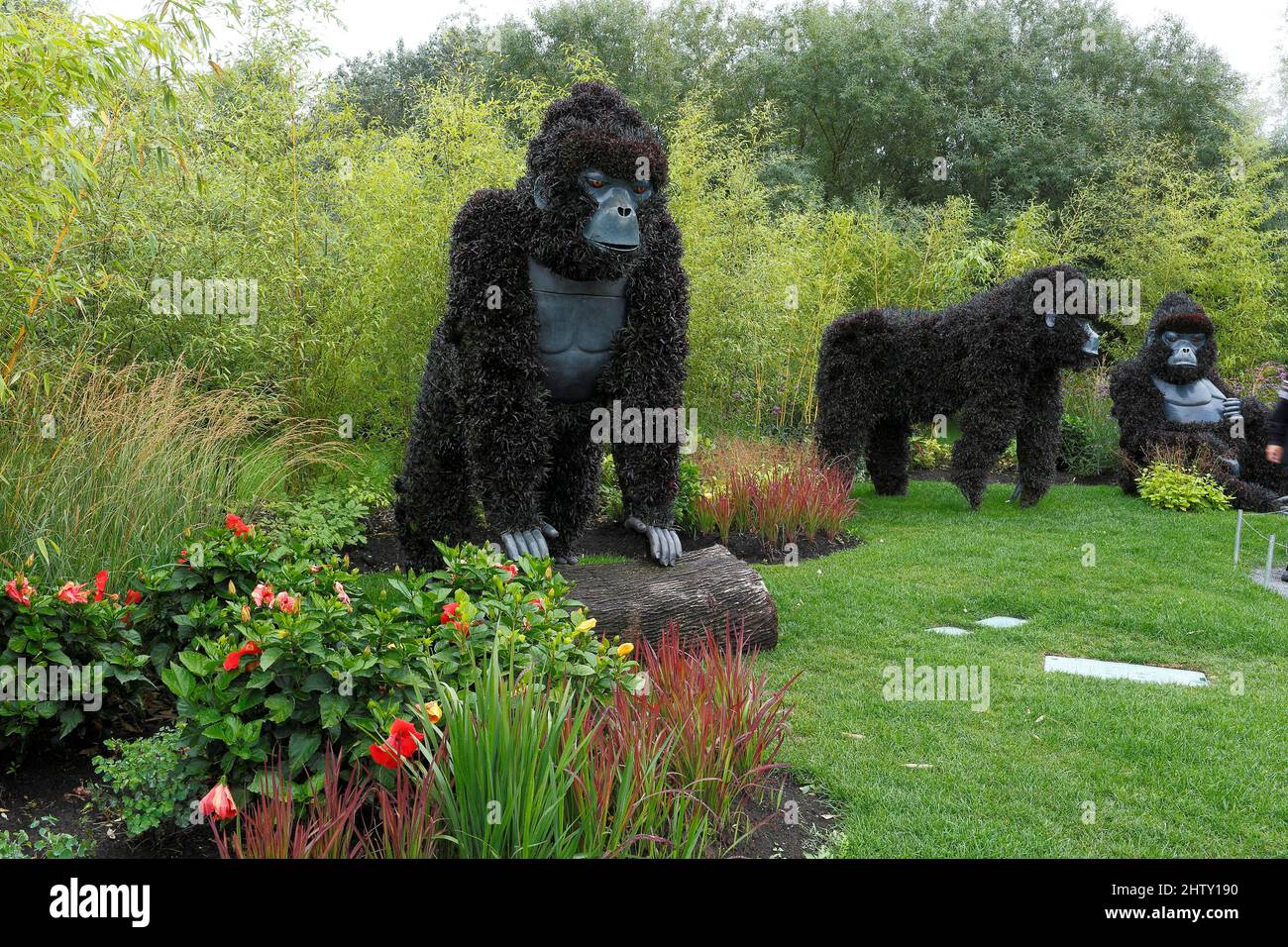 Monkey garden hi-res stock photography and images - Alamy