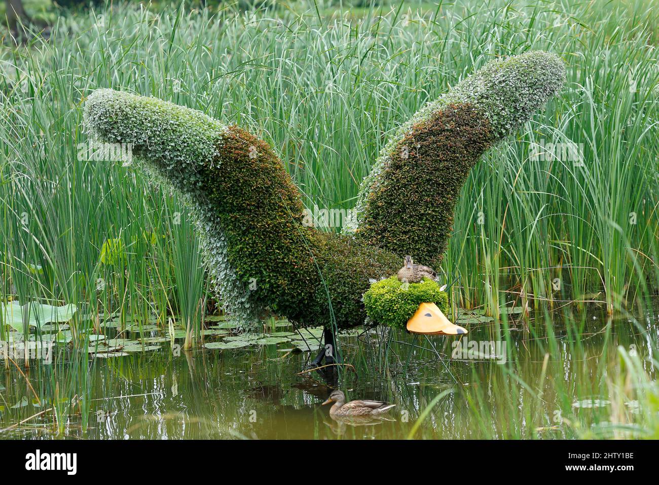 Duck, plant sculpture, Botanical Garden, Montreal, Province of Quebec ...
