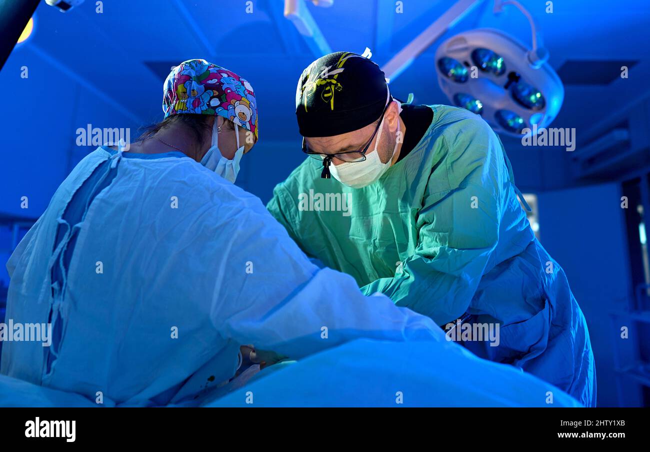 surgeon and an assistant operate on a patient in a blue operating room ...