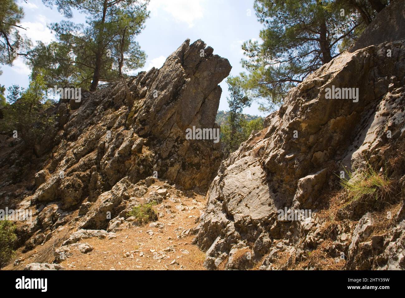 Kibris Gorge, Suetlegen Highlands, Lycia, Turkey Stock Photo - Alamy