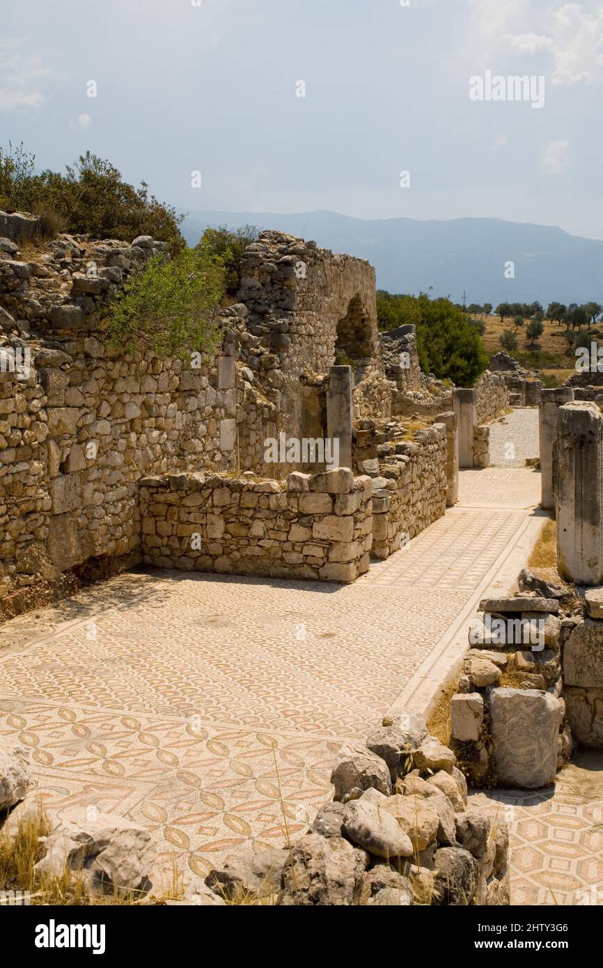 Xanthos, floor mosaic, Byzantine basilica, Lycia, Turkey Stock Photo ...