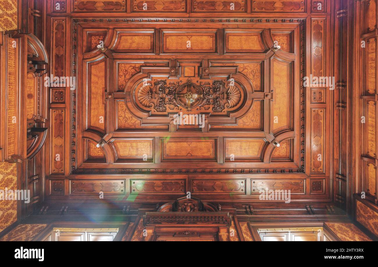 Interior, Decorated ceiling, Gentlemen's room, Villa Woodstock ...