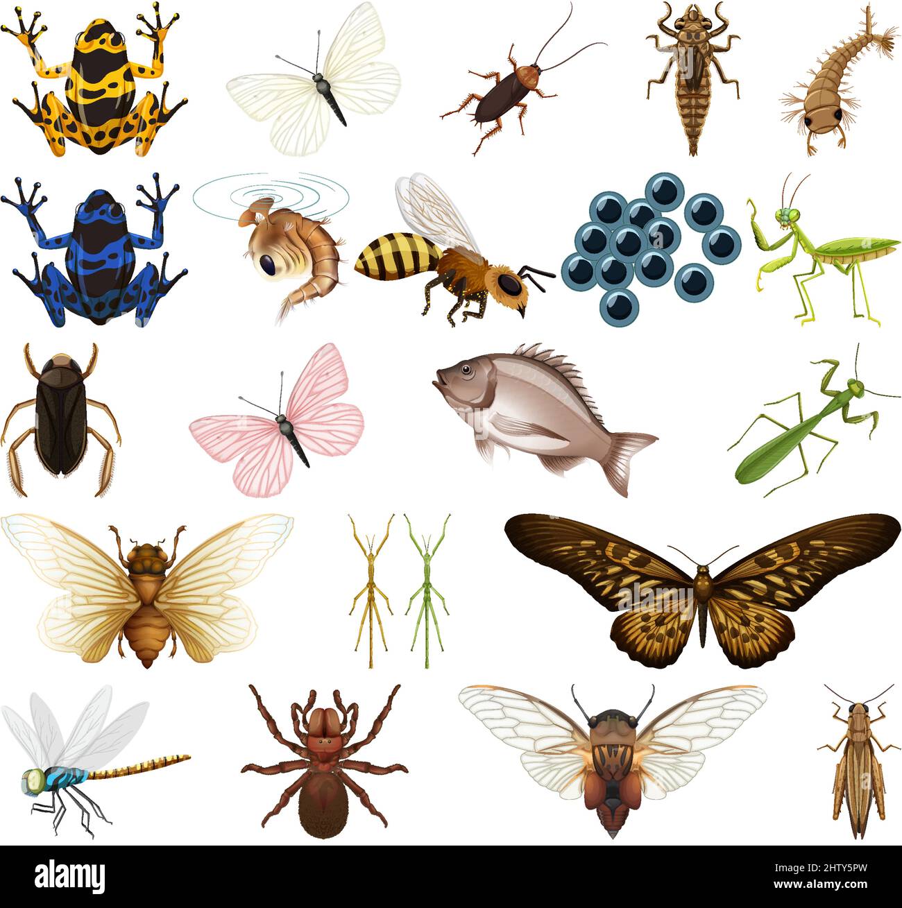 Different kinds of insects and animals on white background illustration ...