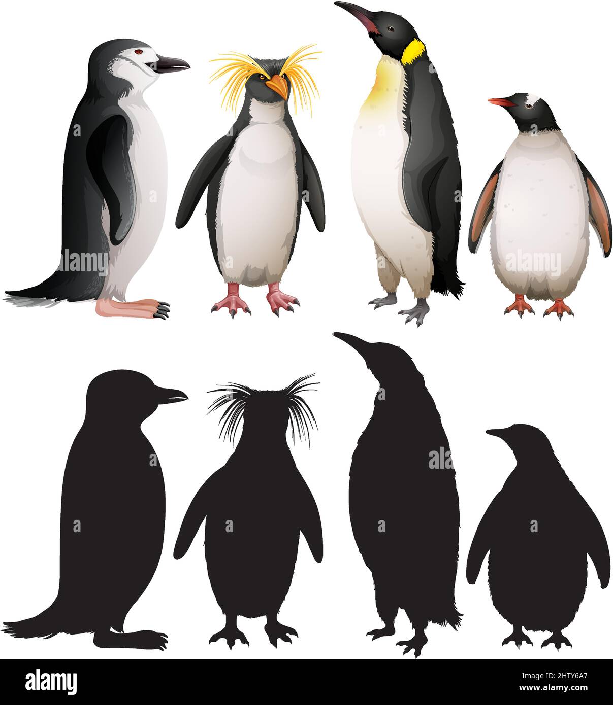 Set of penguins with silhouette illustration Stock Vector Image & Art ...