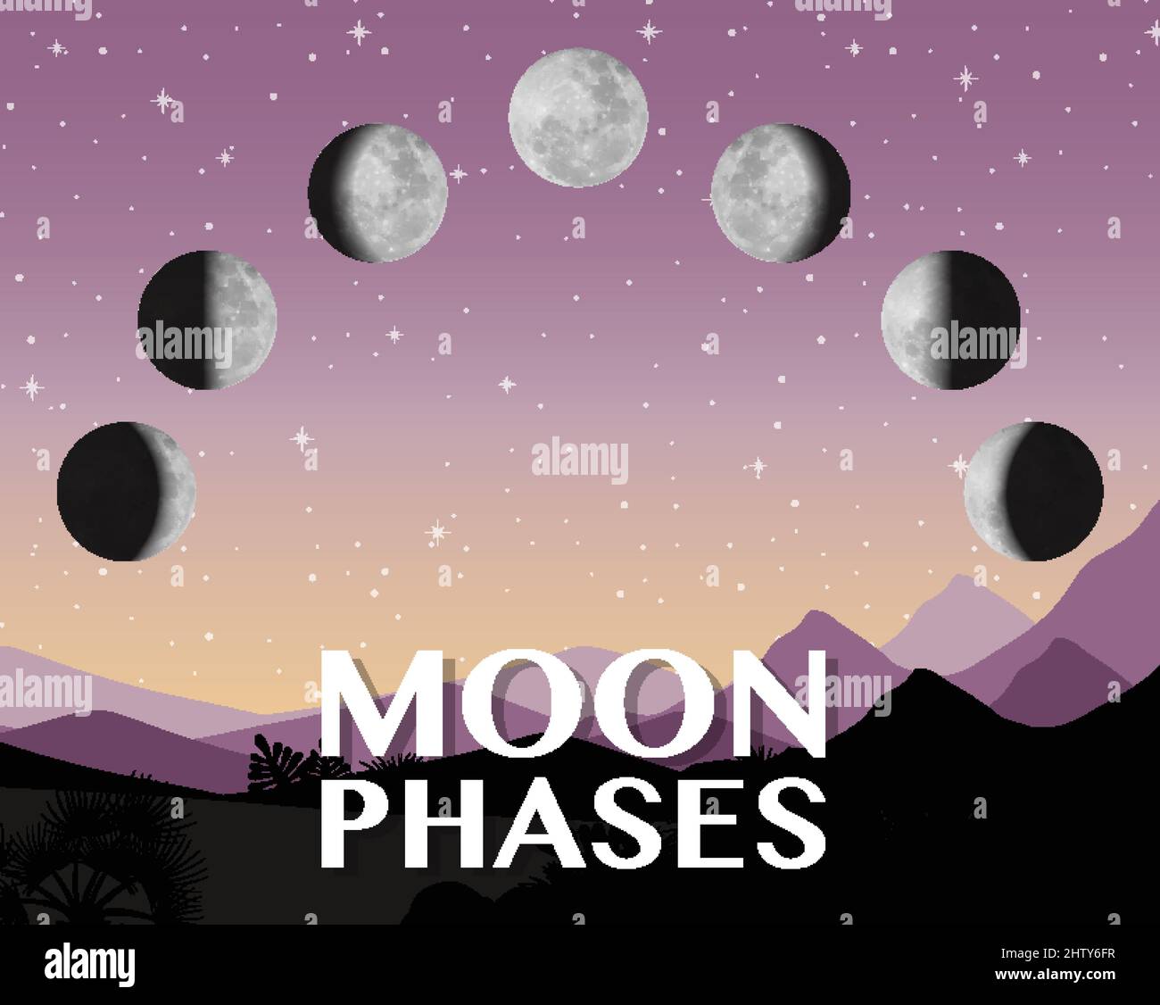 Phases of the moon for science education illustration Stock Vector ...