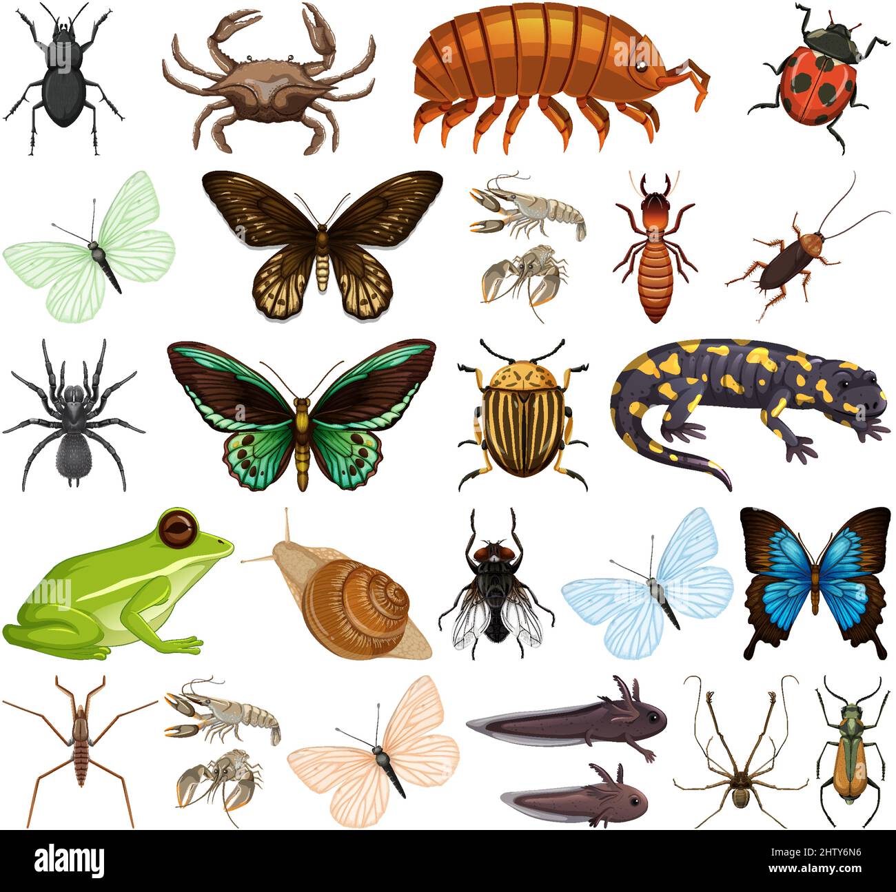Different kinds of insects and animals on white background illustration ...