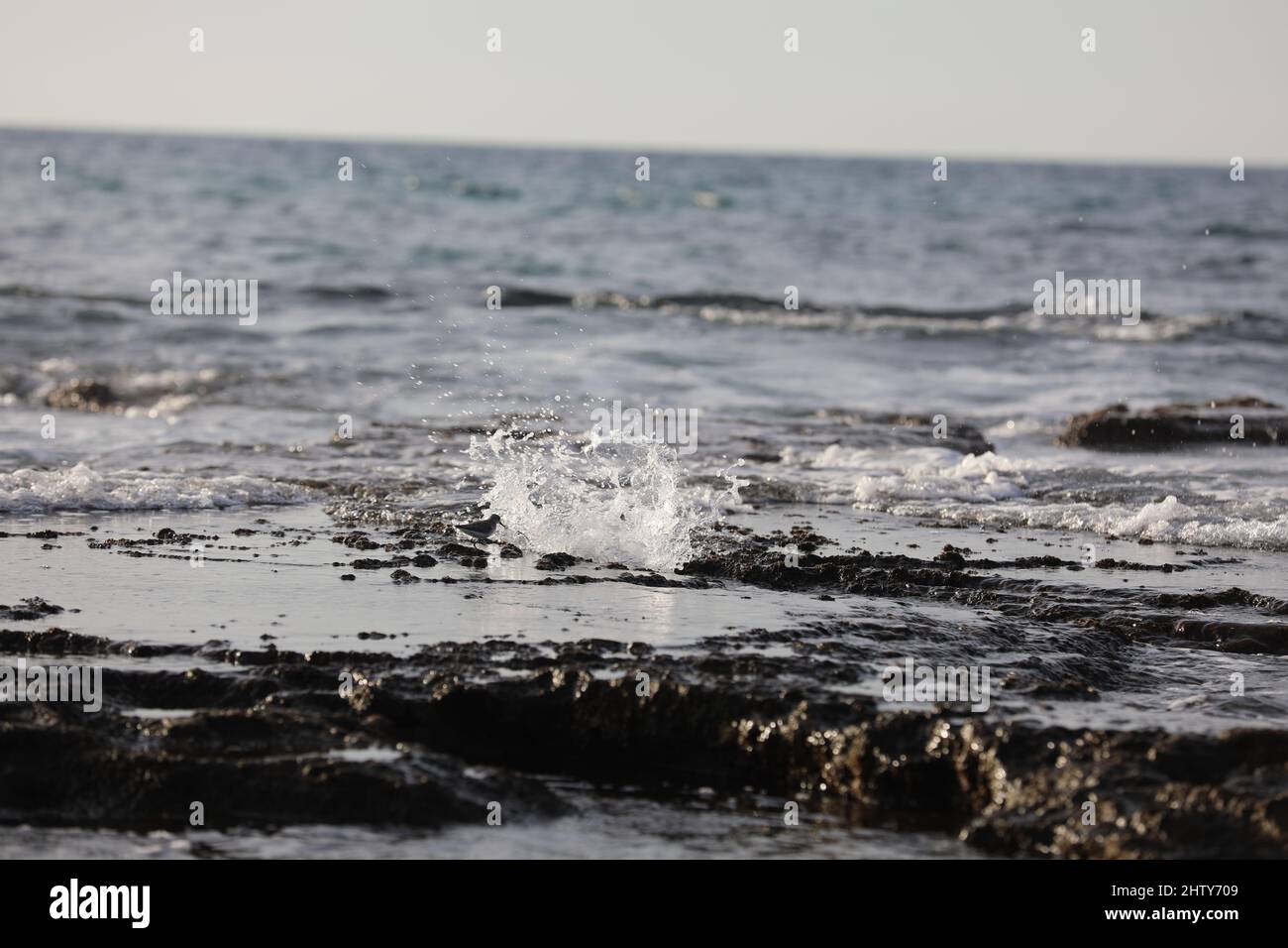 Landscape of rock and sea High quality Stock Photo - Alamy