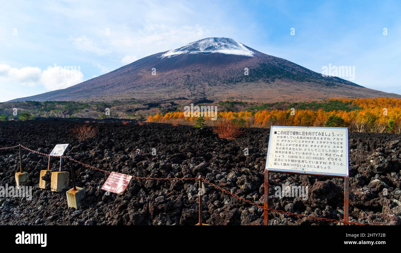 Nanbu fuji hi-res stock photography and images - Alamy