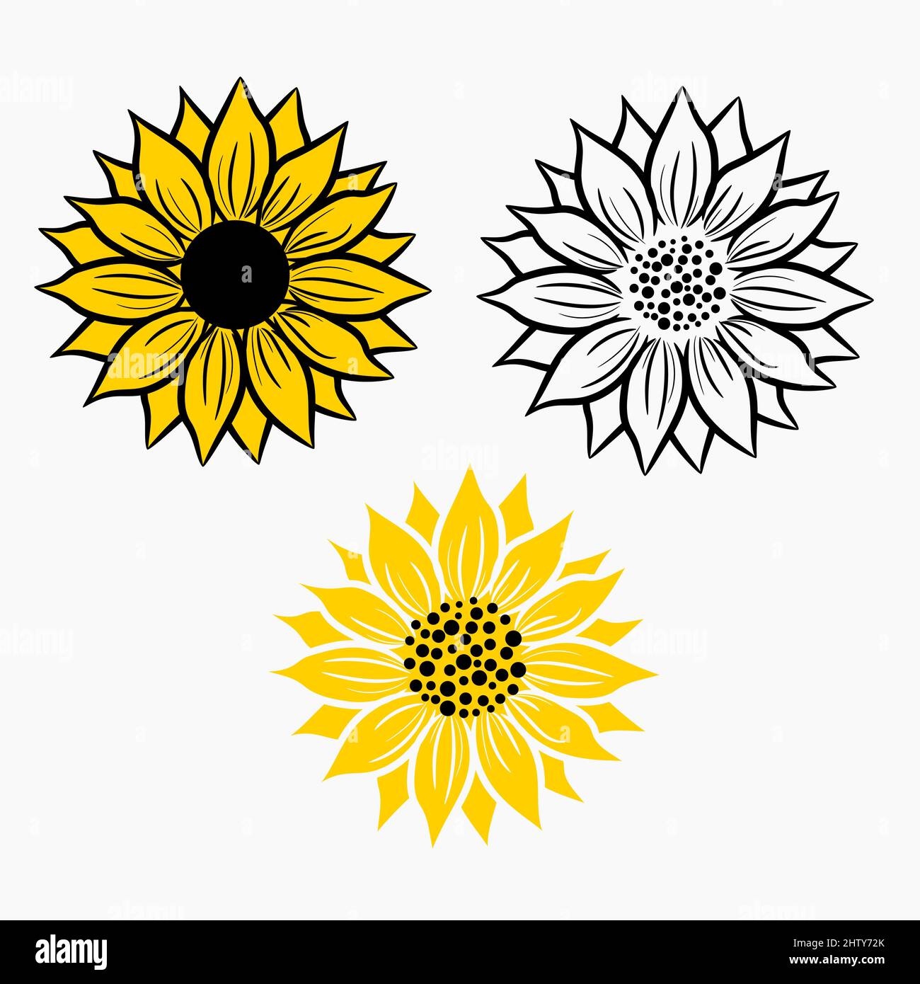Sunflowers set yellow color drawing and outline. Summer bloom flowers ...