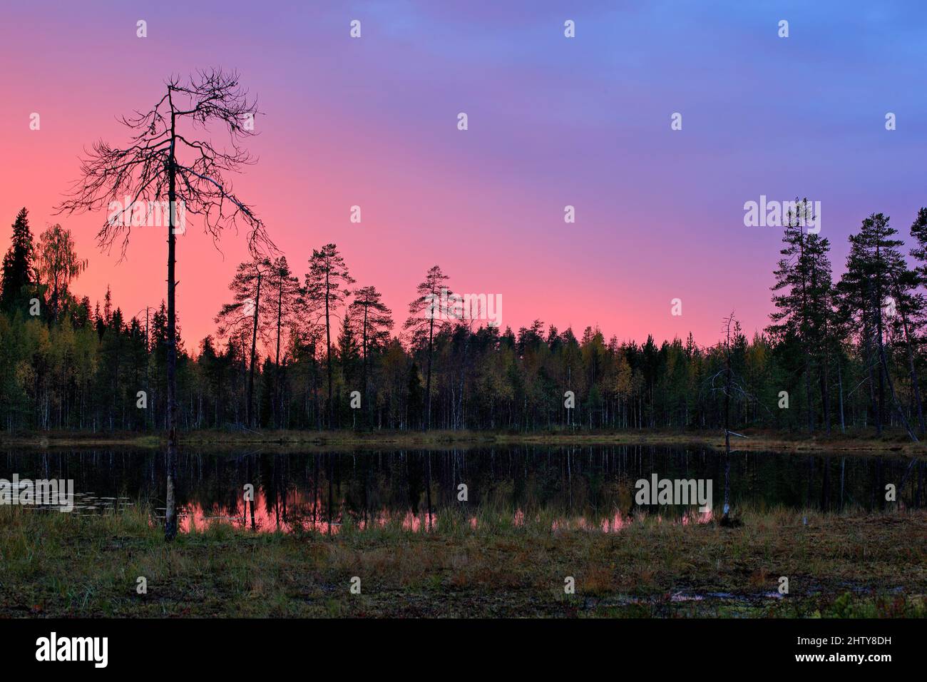 Twilight in the wild nature. Evening in taiga. Lake with forest and ...