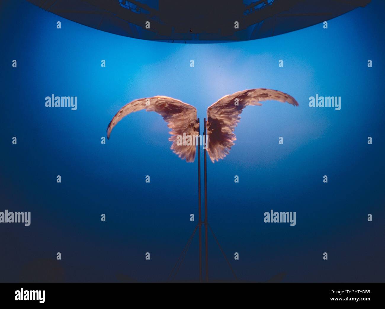 Installation art by Welsh artist Peter Greenaway, 1997 Stock Photo - Alamy